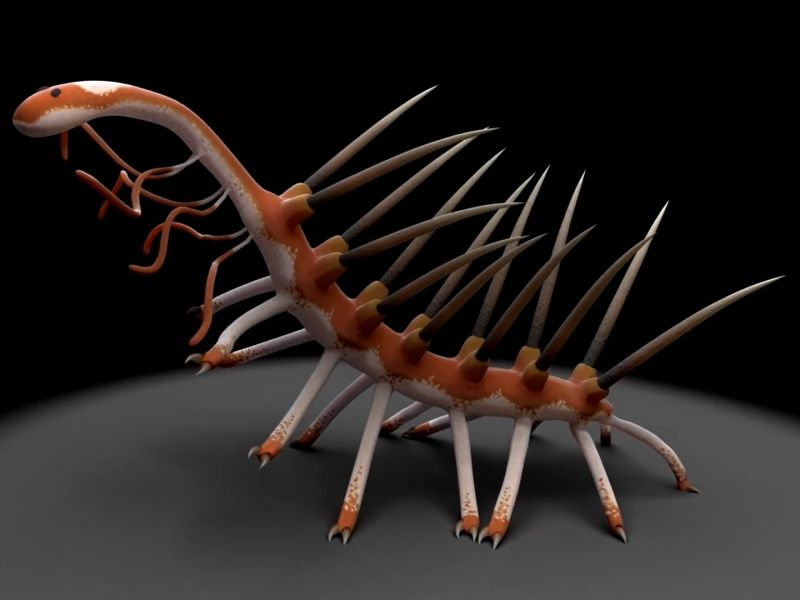 Hallucigenia Sparsa